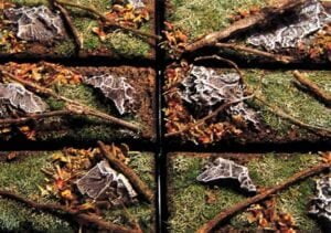 How to make Autumn bases • Chest of Colors