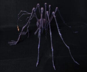 Spidicules • Chest of Colors